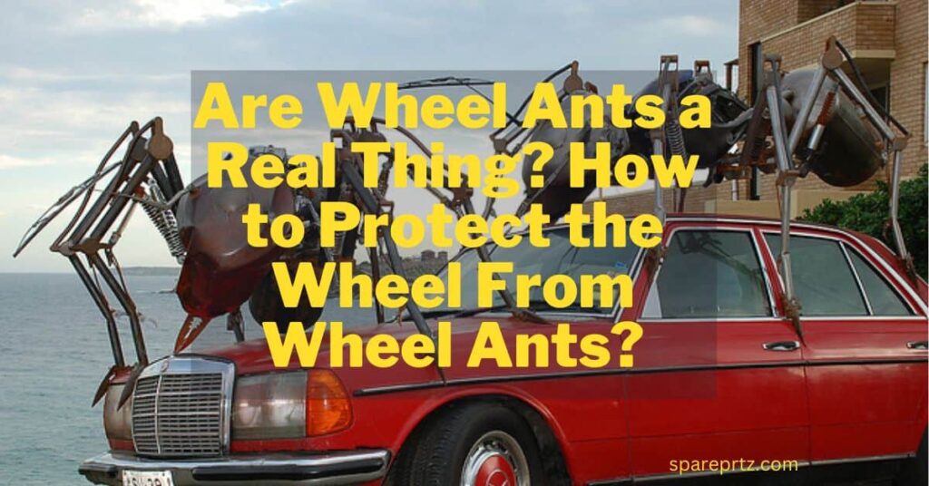 Are Wheel Ants A Real Thing? How To Protect The Wheel From Wheel Ants?